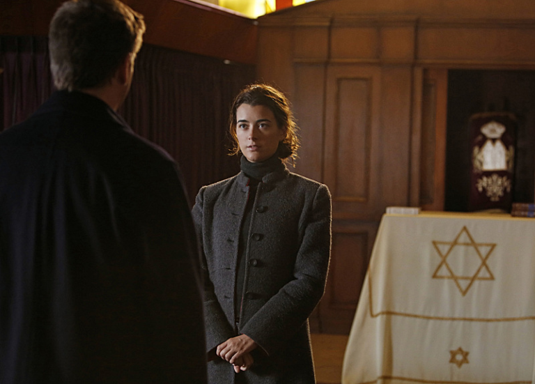 NCIS Season 10 Episode 12 Review: You Are Not Alone - TV Fanatic