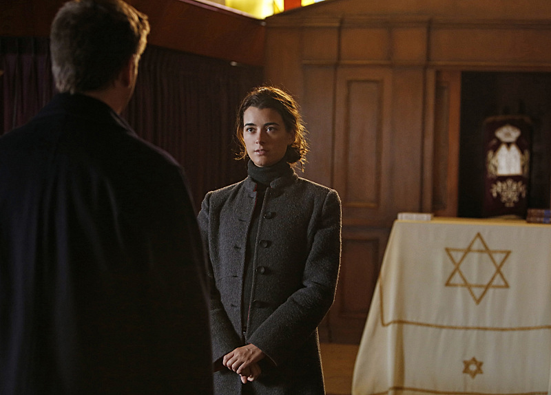 NCIS Season 10 Episode 12 Review: You Are Not Alone - TV Fanatic