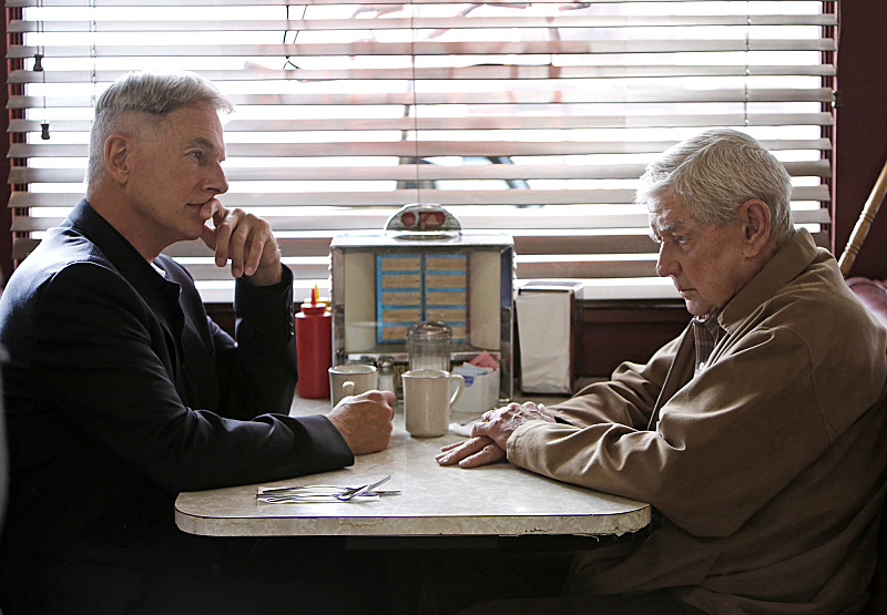NCIS Review: Turned Around - TV Fanatic