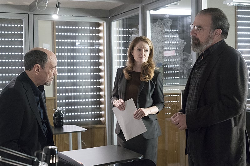 Homeland Season 5 Episode 10 Review: New Normal - TV Fanatic