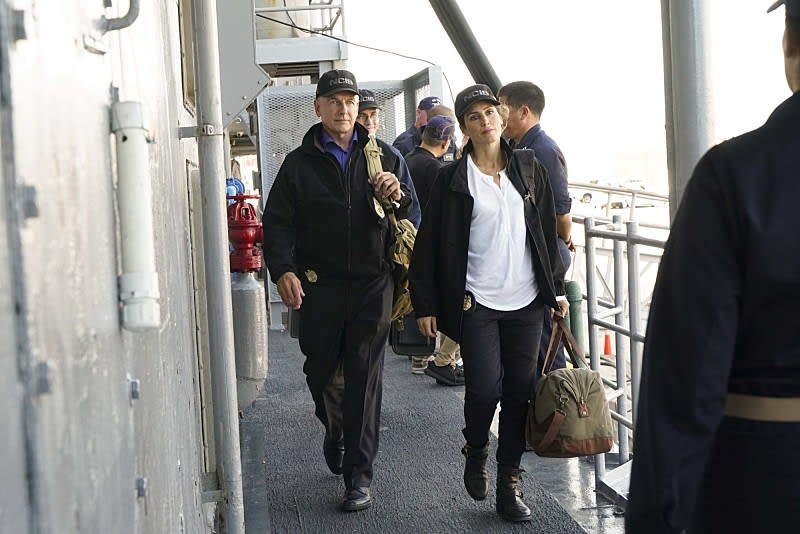 NCIS Season 14 Episode 4 Review: Love Boat - TV Fanatic