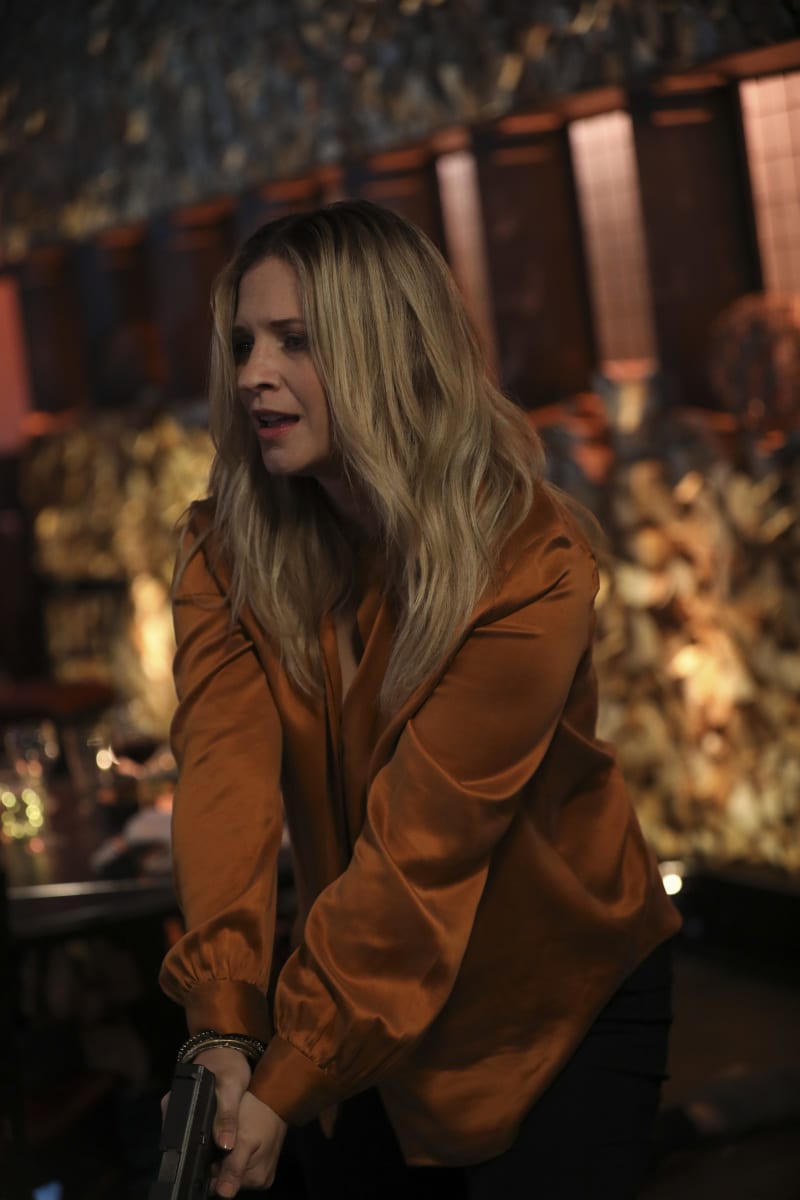 Blue Bloods Season 7 Episode 13 Review: The One That Got Away - TV Fanatic