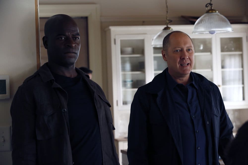 The Blacklist Season 5 Episode 4 Review: The Endling - TV Fanatic