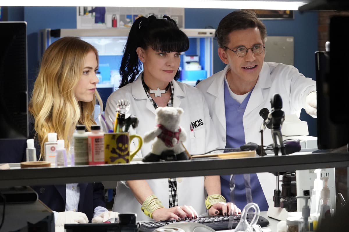 NCIS Season 15 Episode 21 Review: One Step Forward - TV Fanatic