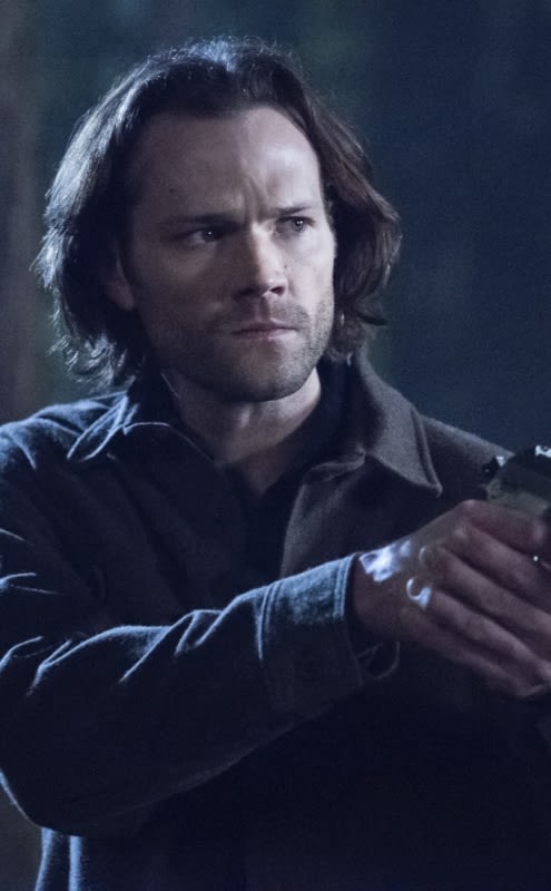Supernatural Season 14 Episode 16 Review: Don't Go Into the Woods - TV ...