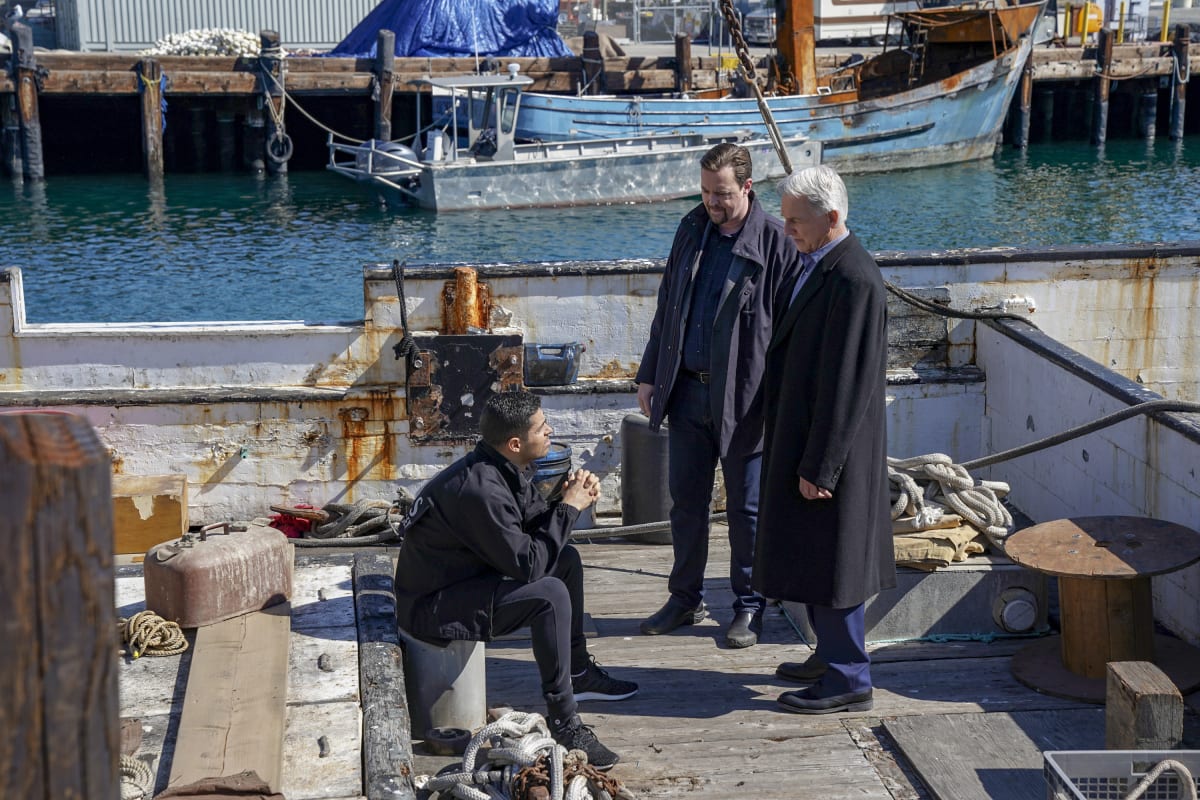 NCIS Season 16 Episode 18 Recap: Mona Lisa - TV Fanatic