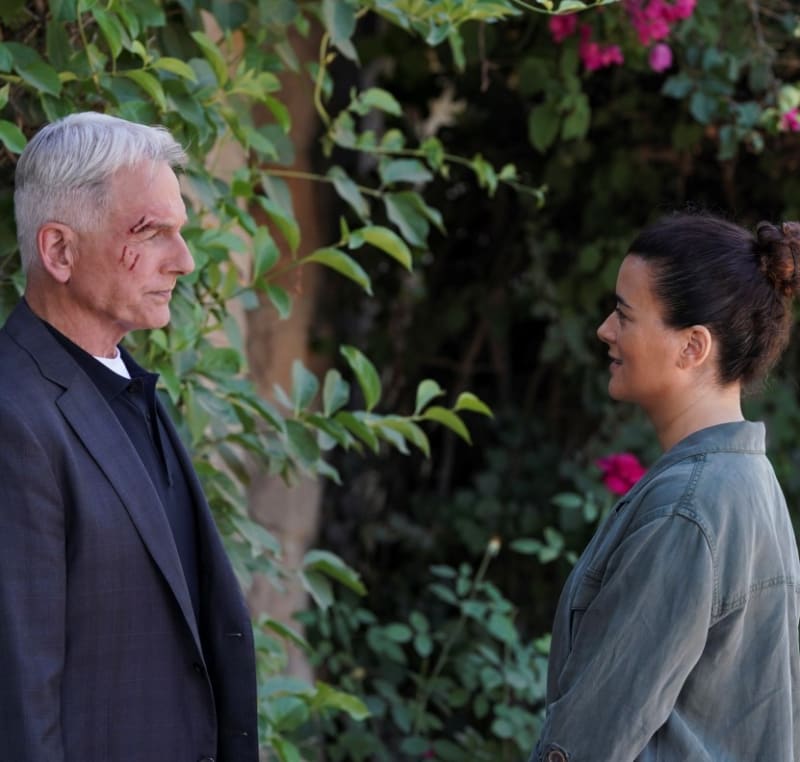 NCIS Season 17 Episode 2 Review: Into The Light - TV Fanatic