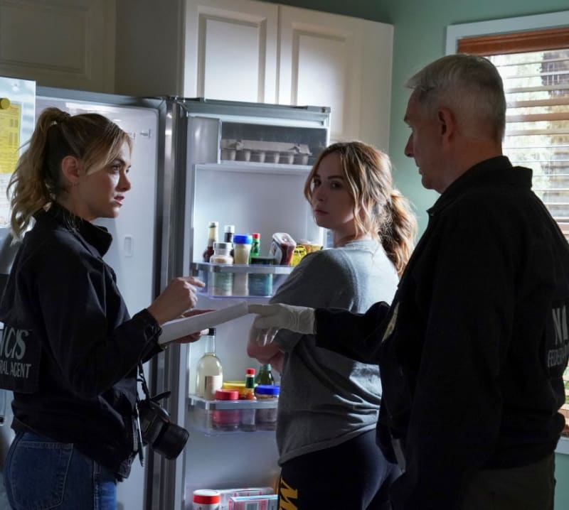 NCIS Season 17 Episode 5 Review: Wide Awake - TV Fanatic