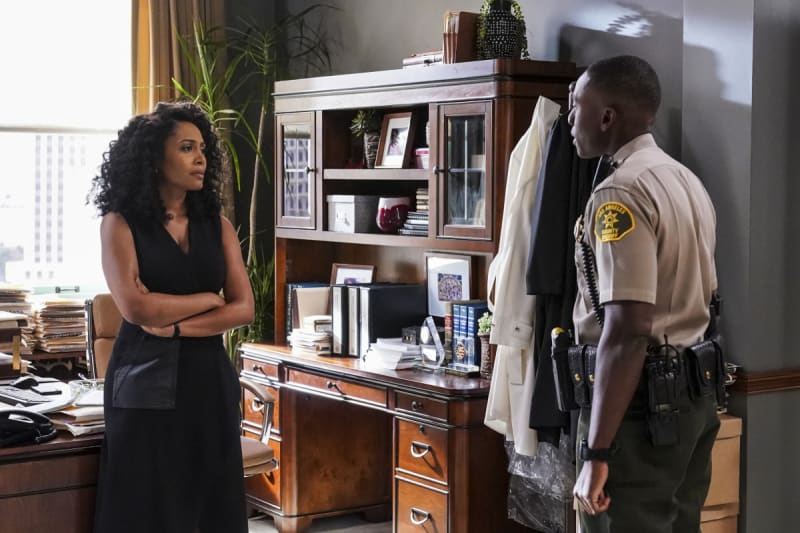 All Rise Season 3 Spoilers, Spring Premiere Revealed - TV Fanatic