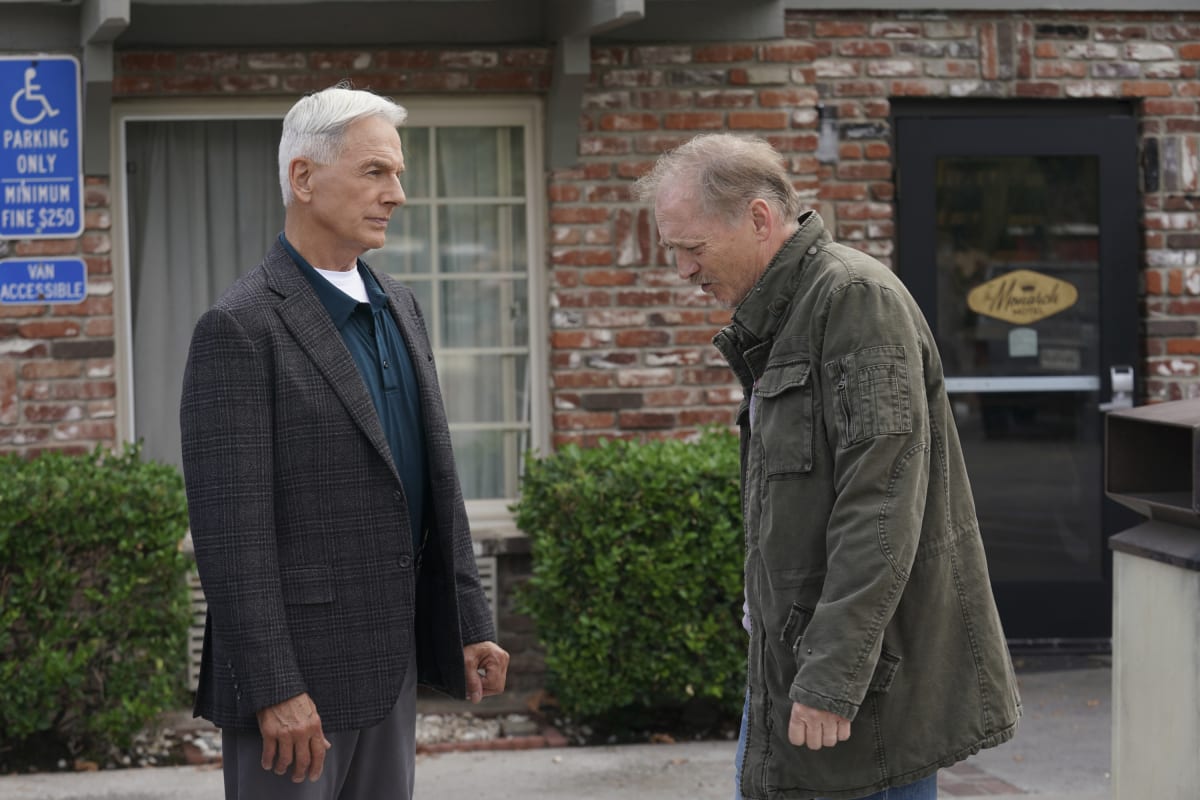 NCIS Season 17 Episode 7 Review: No Vacancy - TV Fanatic