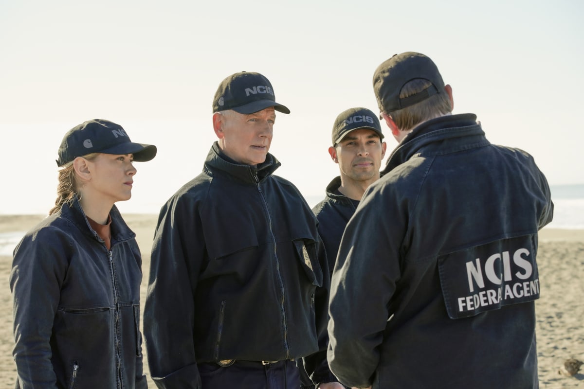 NCIS Season 17 Episode 12 Recap: Flight Plan - TV Fanatic