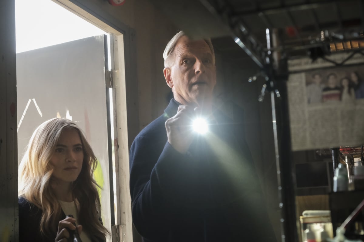 NCIS Season 17 Episode 17 Review: In a Nutshell - TV Fanatic