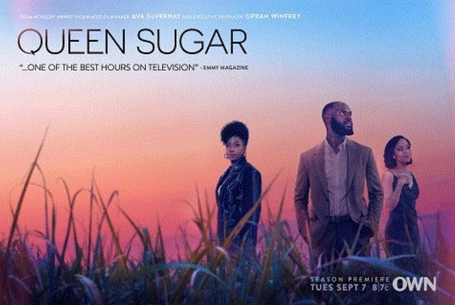 Queen Sugar Season 6 Trailer Teases Trouble for the Bordelons - TV Fanatic