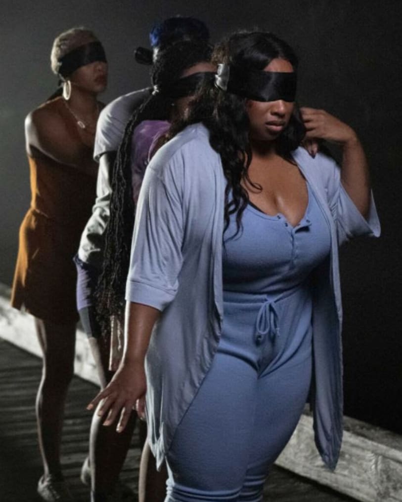 Lifetime Sets Premiere Dates for Girl in the Shed, Single Black Female ...