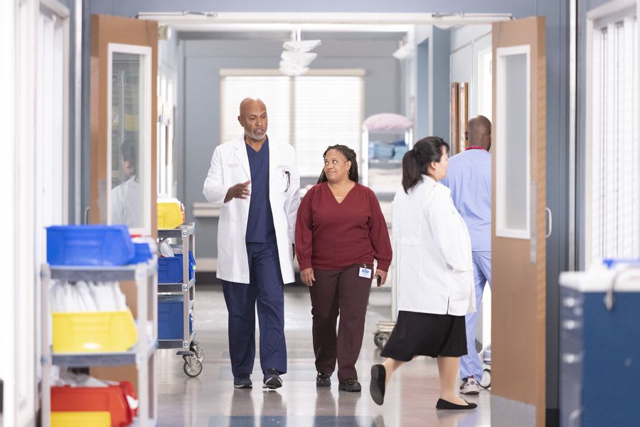 Grey's Anatomy Season 19 Episode 3 Recap: Let's Talk About Sex - TV Fanatic