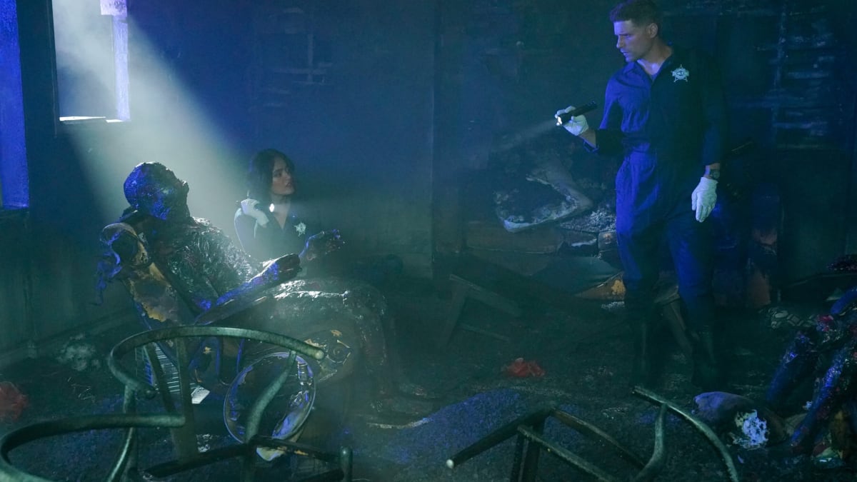 CSI: Vegas Season 2 Episode 7 Review: Burned - TV Fanatic