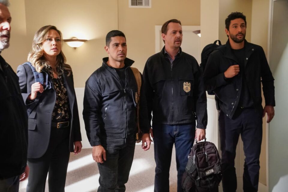 Why An NCIS All-Star Team Up Could Be the Key to Iconic Franchise's ...