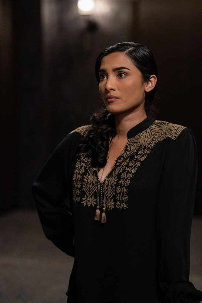 The Blacklist Season 10 Episode 2 Review: The Whaler - TV Fanatic