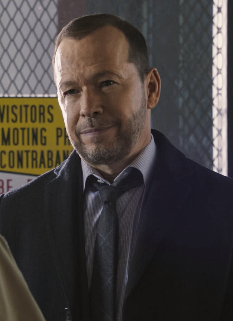 Blue Bloods to Air 10 Fan-Favorite Episodes This Fall, and Your Vote is ...