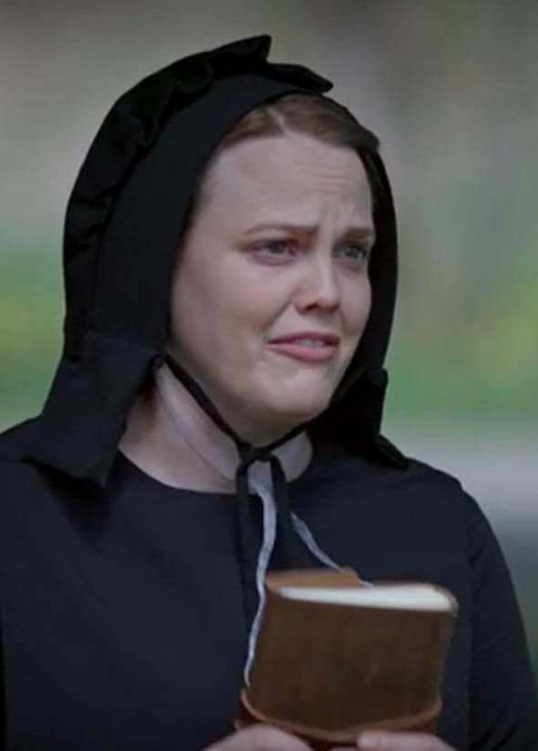 Amish Stud: The Eli Weaver Story Review: Macfarlane Impresses in Tale ...