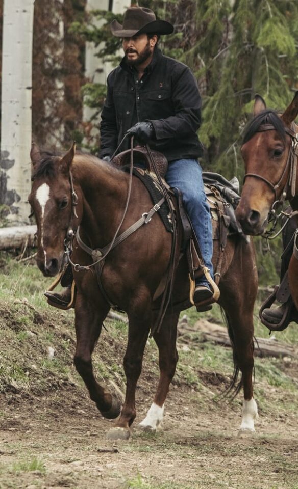 Yellowstone Season 1 Episode 7 Review: A Monster Is Among Us - TV Fanatic