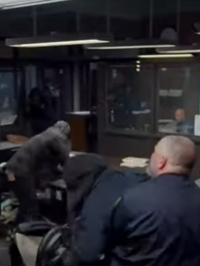 Law & Order SVU Season 25 Episode 2 Spoilers: A Flash Mob Breaks Into ...