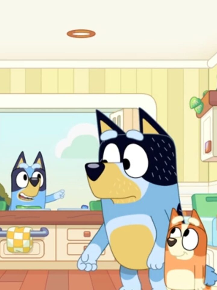 The Magic of Bluey: Why This Popular Children's TV Show Has the Whole ...