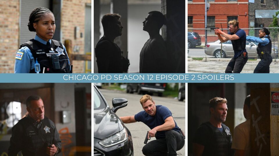 Chicago PD Season 12 Episode 2 Spoilers: Ruzek Seeks Revenge & Newbie ...