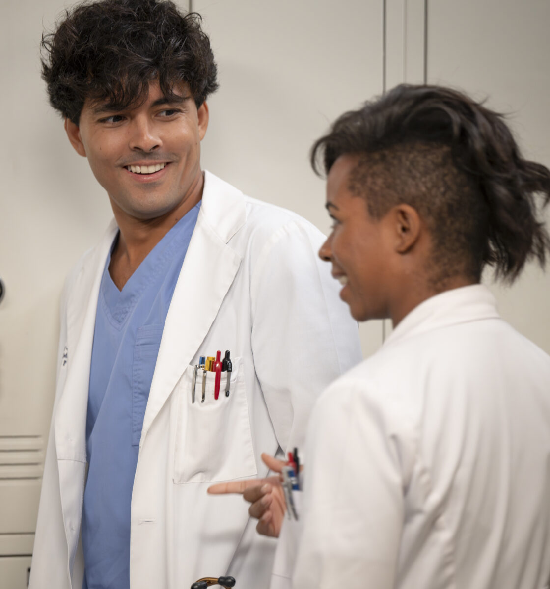 Grey's Anatomy Season 21 Episode 5 Spoilers: Ten Blades and Chopper ...