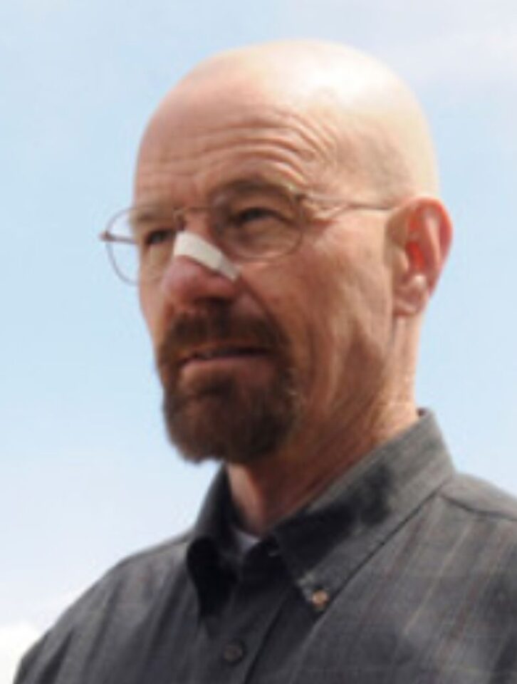 From Book Smarts to Street Smarts: 27 Brilliant TV Characters Who Make ...