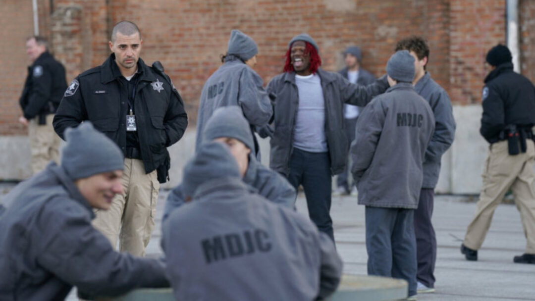 Chicago PD Season 12 Episode 12 Spoilers: Torres Goes Undercover ...