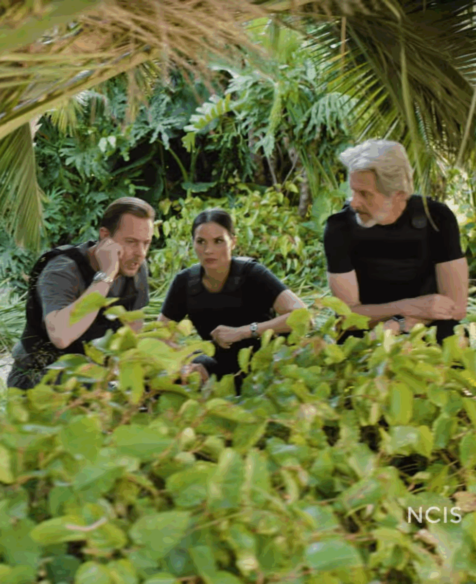 NCIS Season 23 Trailer: Parker's Out for Blood, and Tuesdays Are Back ...