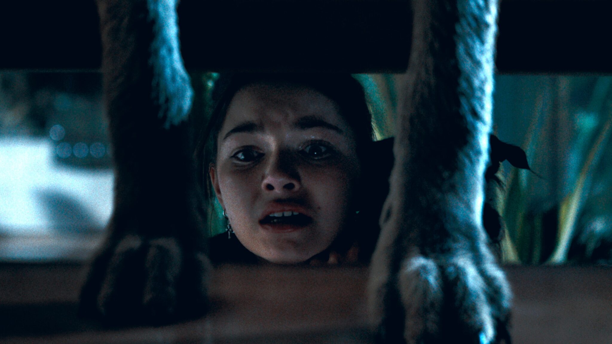 Coyotes Movie Review: When Nature Bites Back (and Justin Long Runs For ...