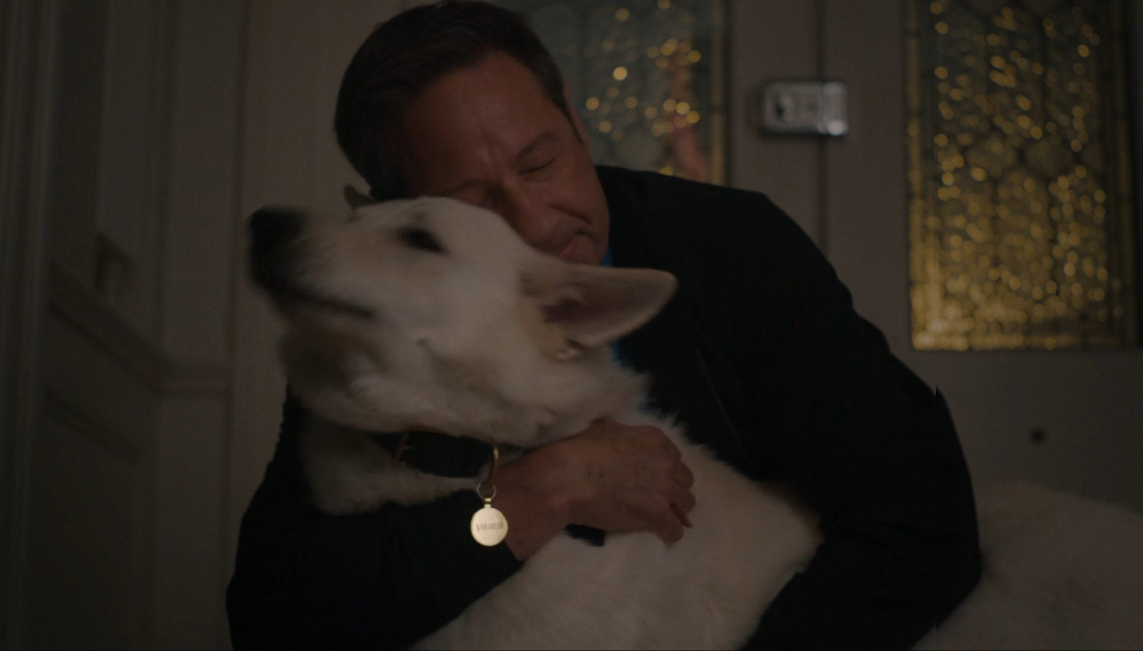 Does the Dog Die? Yes. The Cat & Octopus Too. How Prime Video's Malice ...