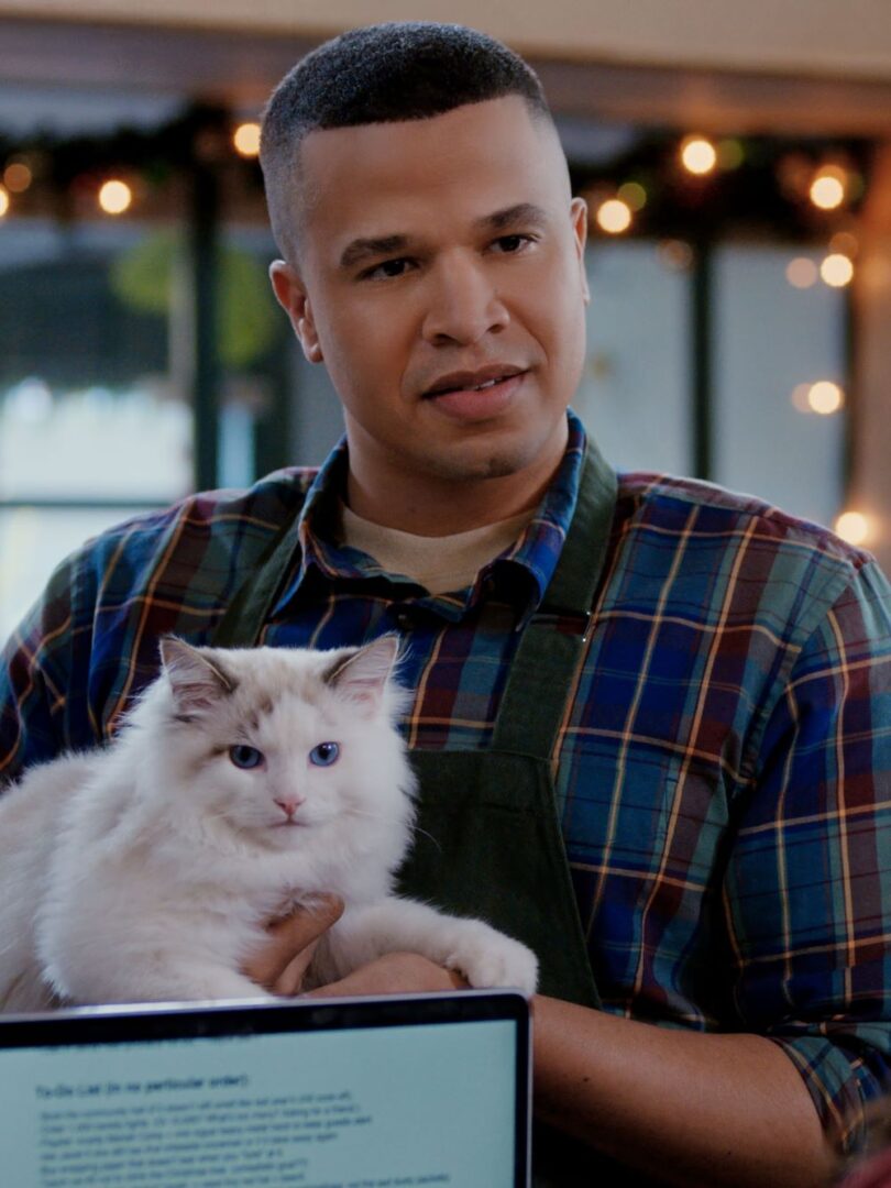 Ian Collins Dishes on Why Hallmark's Christmas at the Catnip Cafe is ...